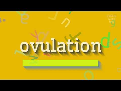 How to say "ovulation"! (High Quality Voices)