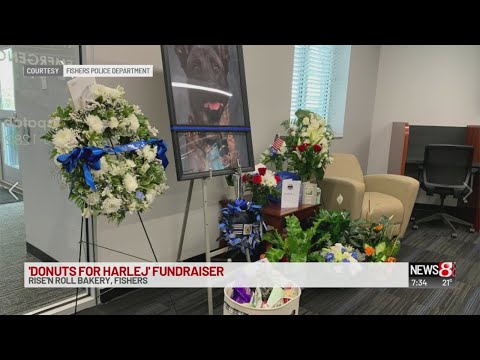 Rise’n Roll Bakery celebrates Fishers grand opening with 'Donuts for Harley' fundraiser