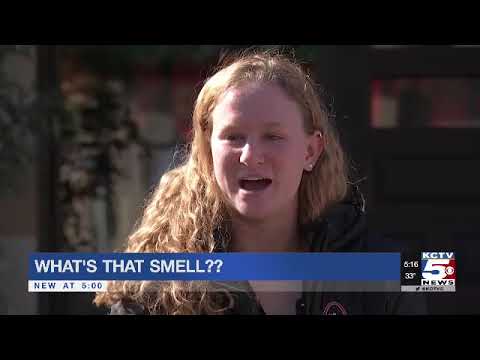 What Did I Step In? | Nathan Vickers