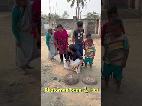 Saap Ne 🐍 Dara Diya Sabhi ko 🙄😂😁 #funny #viral #shorts