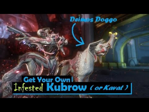 Steam Community :: Video :: How to Get an Infested Kubrow or Kavat ...