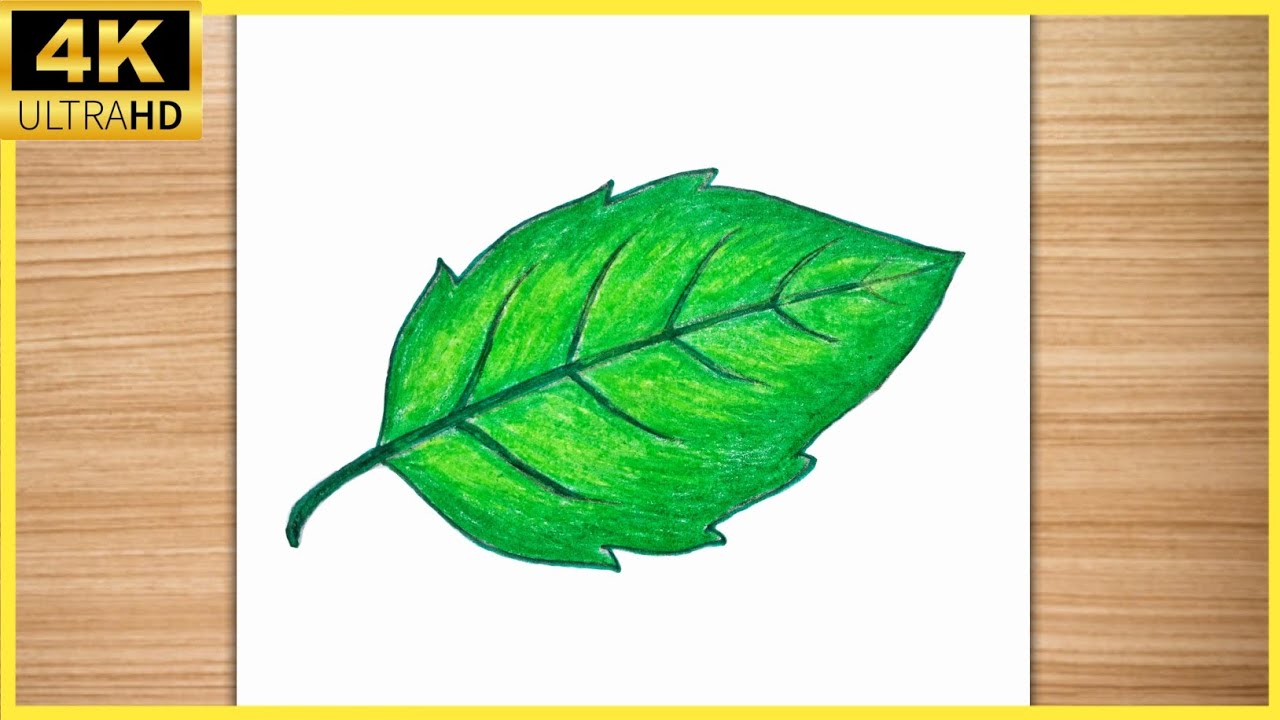 How to Draw a Simple Leaf | Step-by-Step Leaf Drawing Tutorial for Beginners