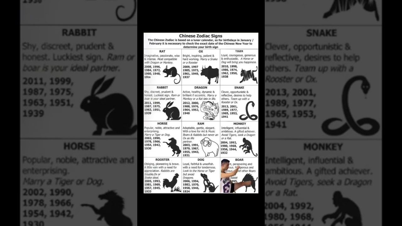 What's your Chinese zodiac sign?