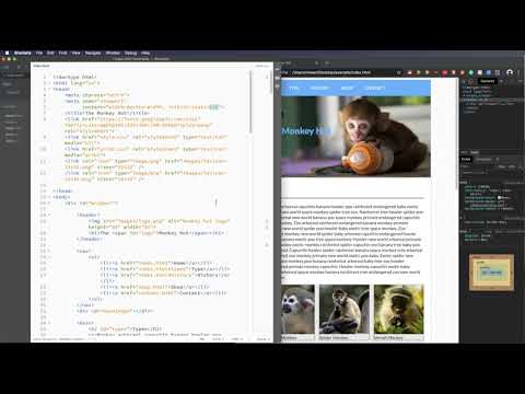 Viewport Meta Tag