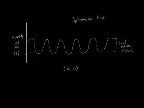 Edexcel GCSE PE - Lung Volumes