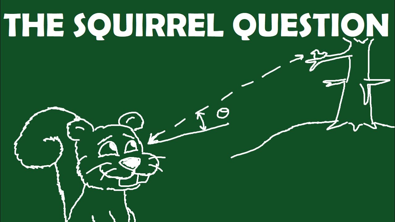 The Squirrel Question (Trigonometry Word Problem)