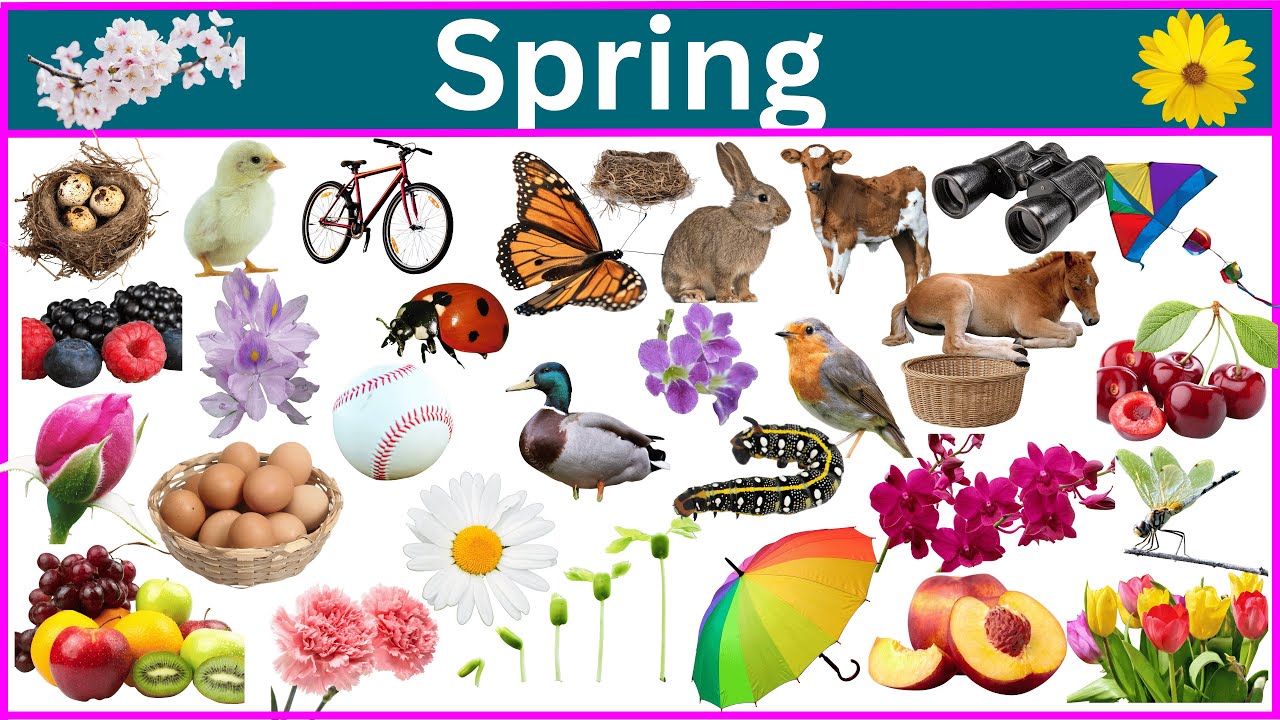 125 Must Know Spring Season Vocabulary Words!