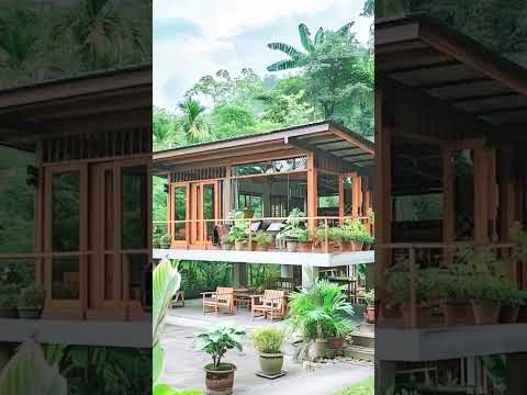 stilt house in the wilderness#shorts #short #house