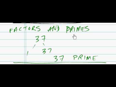 factors and primes number 37