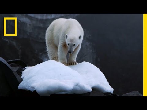 Climate Change Impacts All of Us, But There's Hope | National Geographic