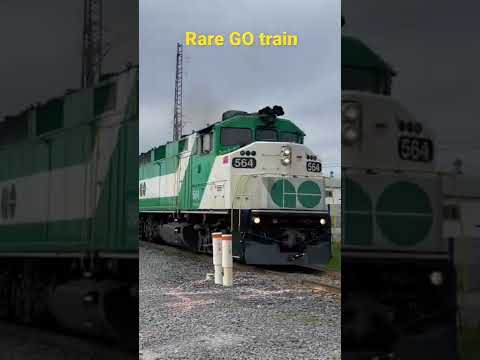 Rare GO train