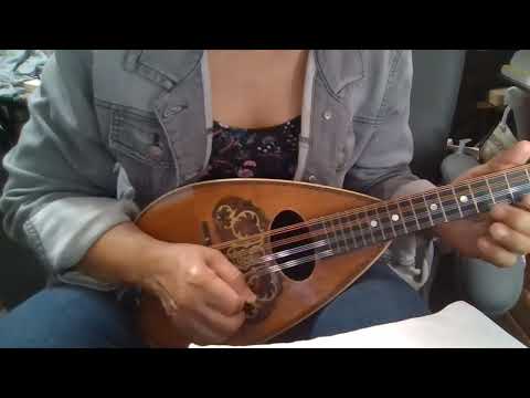 SALE**VINTAGE 12 STRING BOWL BACK MANDOLIN**SEE VDO** | Reverb