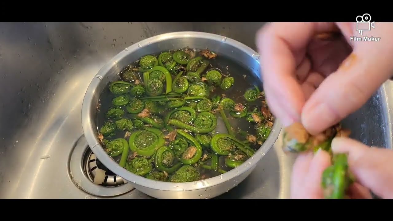 Fiddleheads Salad|Food from the wild| Fern salad |Ensaladang pako sa Canada