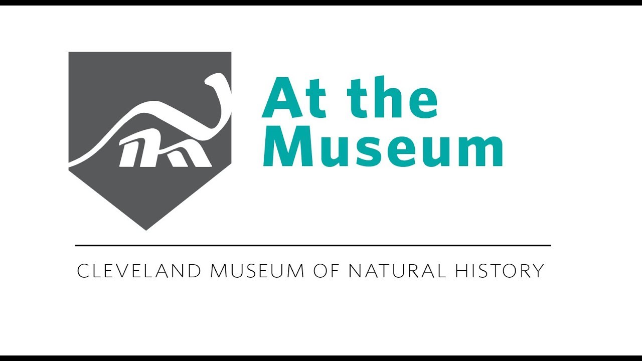 At The Museum Programs