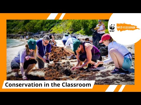 Photos & Videos | WWF