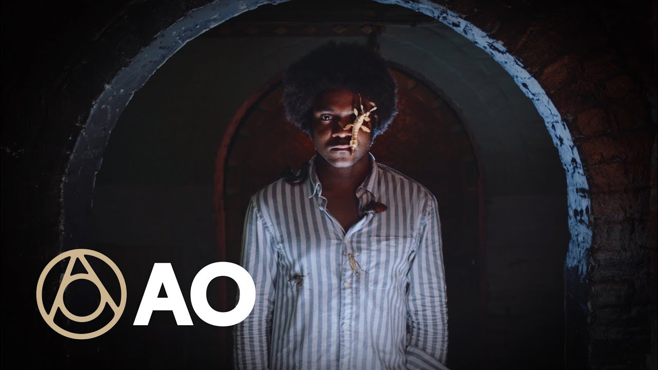 Meet a Bug Whisperer and His Traveling Insect Zoo | Atlas Obscura