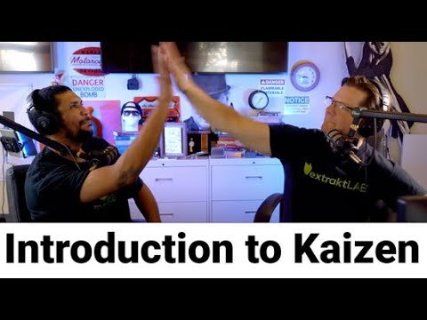 Operational Excellence: Introduction to Kaizen