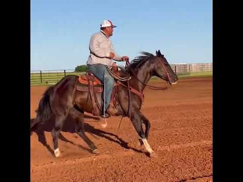 LOT #38 Shawnee Horse Sales LLC 5-24-25
