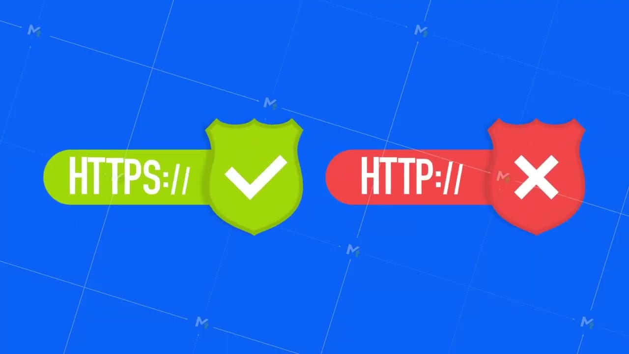 http and https protocols on shield, on white background. Motion graphics.