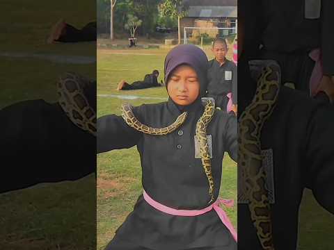 Ada Lawan #shots #psht #srikandipshtgalak #pshtjaya #pencaksilat #viralshorts