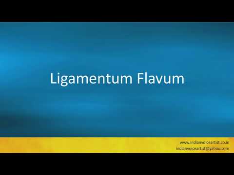 Pronunciation of the word(s) "Ligamentum Flavum".