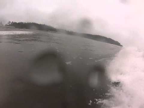 La Push WA Surf