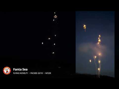 Spirit of '76 Fireworks