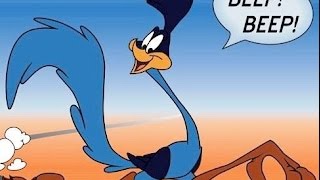 Barbara Cameron Road Runner