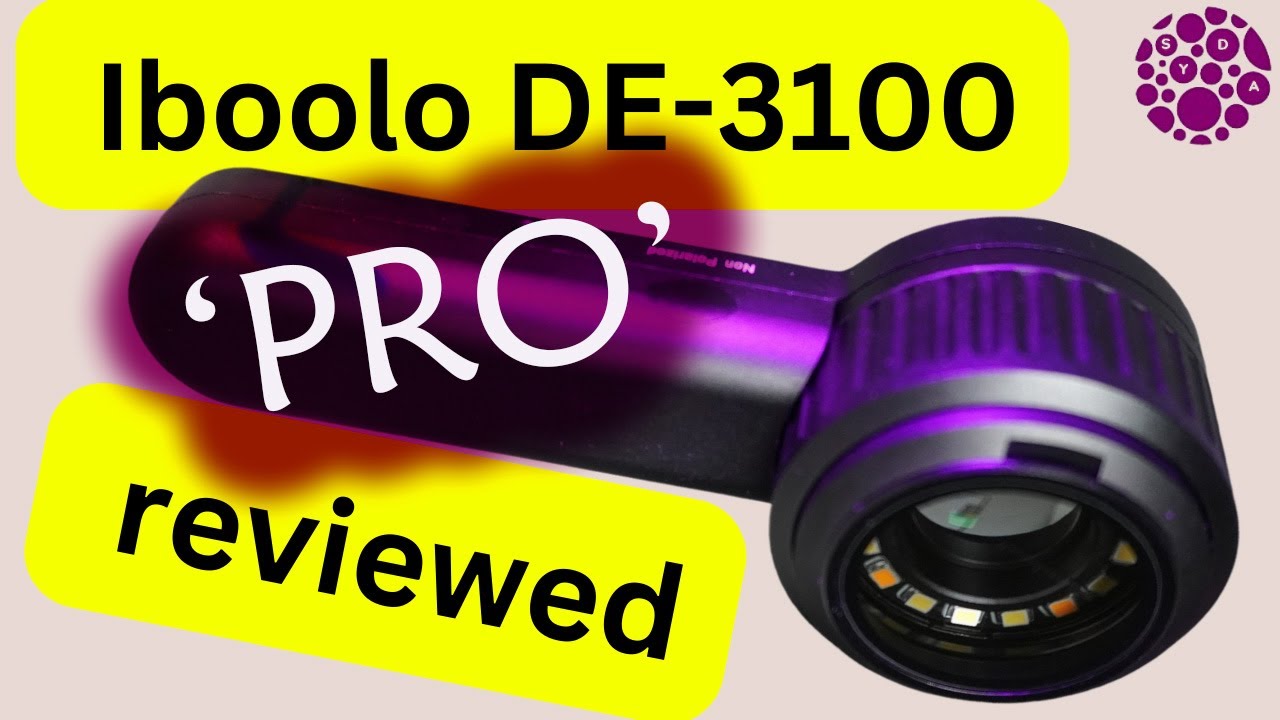 Iboolo DE3100 Standard or PRO version? Which is better?