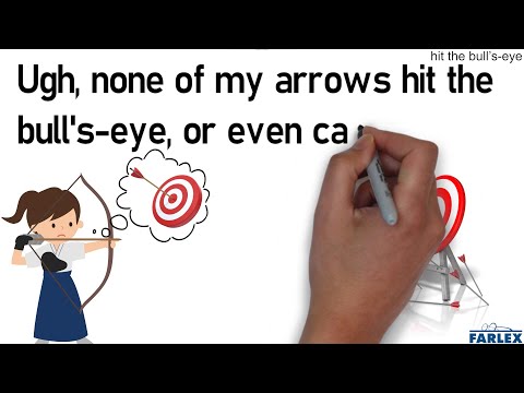 hit the bull's-eye