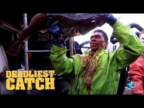 Discovery - Deadliest Catch