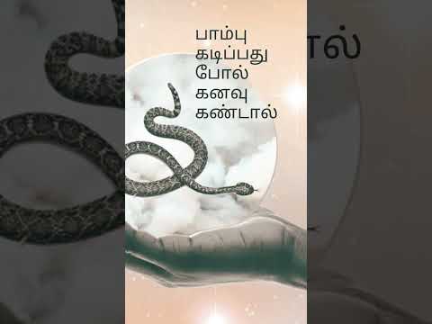 பாம்பு கடிப்பது போல் கனவு கண்டால் என்ன பலன்?