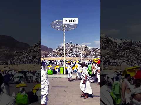 Arafah live 2024 | arafat ka maidan | hajj 2024 | hajj live update |arafat| #makkah #shorts #madina