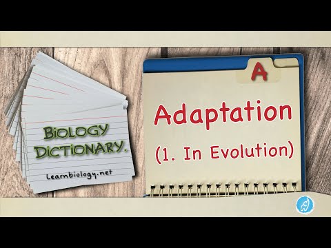 Biology Definitions | Adaptation | Biology Dictionary | Defining Adaptation