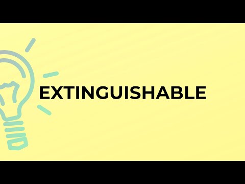 What is the meaning of the word EXTINGUISHABLE?