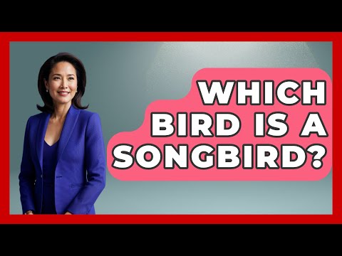 Which Bird Is A Songbird? - Bird Watching Diaries