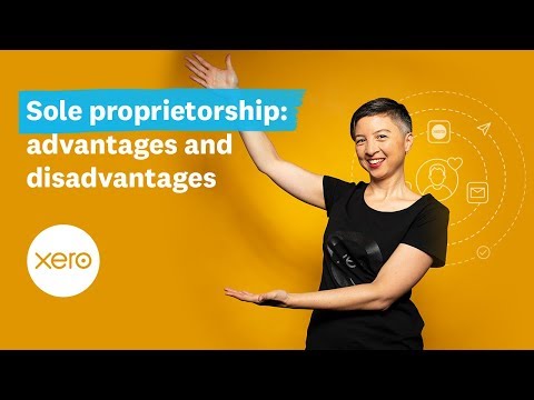 Advantages and disadvantages of sole proprietorship (US) | Small Business Guides | Xero