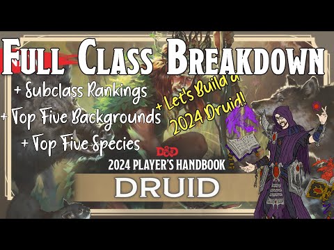 D&D 2024 Druid: Full Class Breakdown