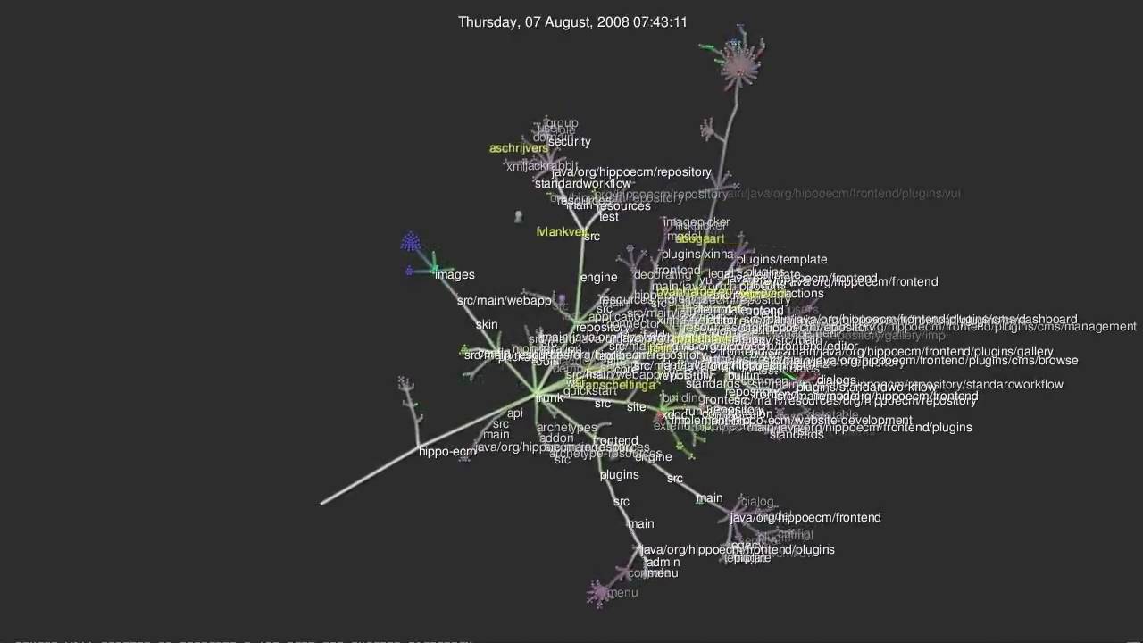 Hippo ECM SVN Visualization using Gource
