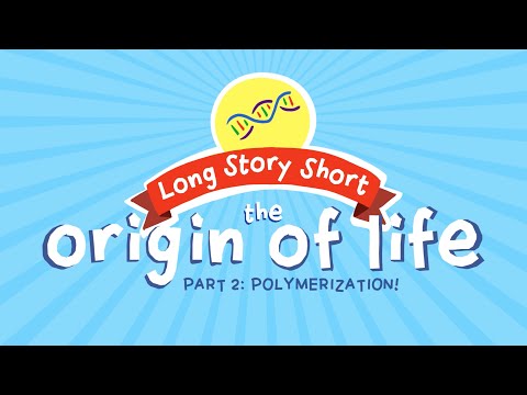 Challenge to Origin of Life: Biopolymers (Long Story Short, Ep. 5)