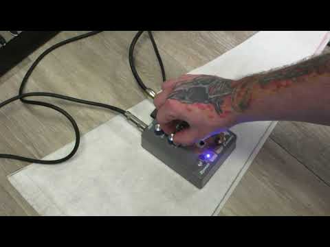 Coked Out Fuzz Bear | Reverb