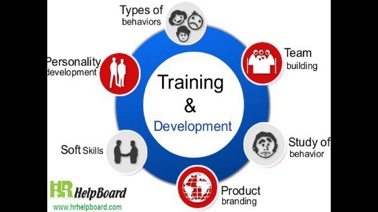 Training & Development of Employees in Human Resources Management | Hrhelpboard