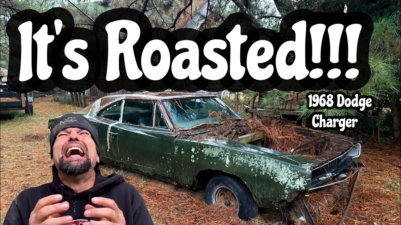 Try Not To Cry: 1968 Charger Rotting Under Pines, R/T Badge Barely ...