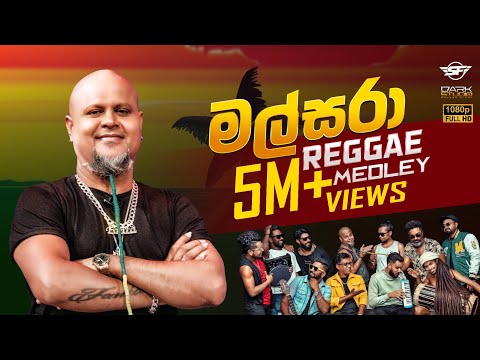 Sahara Flash Dark Studio - Reggae Medley @saharaflash