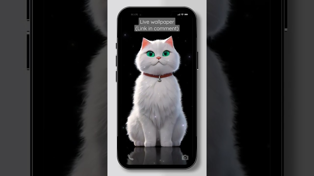 Cute fluffy cat - live wallpaper #shorts #wallpaper #cat