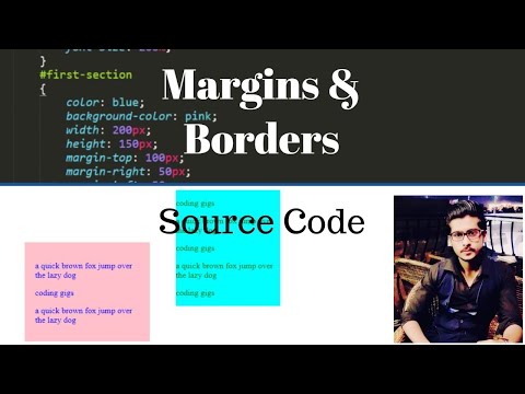 Margin and Padding in CSS – CodingGigs