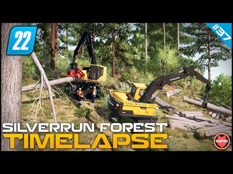 Steam Community :: Video :: 🇺🇸 Logging On A Steep Hill In Tigercat ...