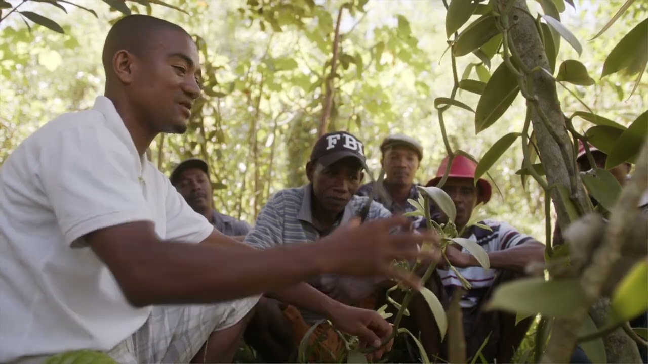 Food Plant Solutions