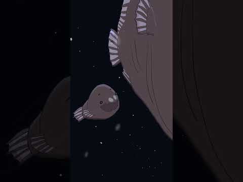 Deep-sea Anglerfish ???????? #animation #original #cartoon