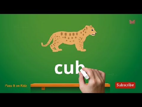 Practice Spelling # 3 | Words that begin with letter Cc.